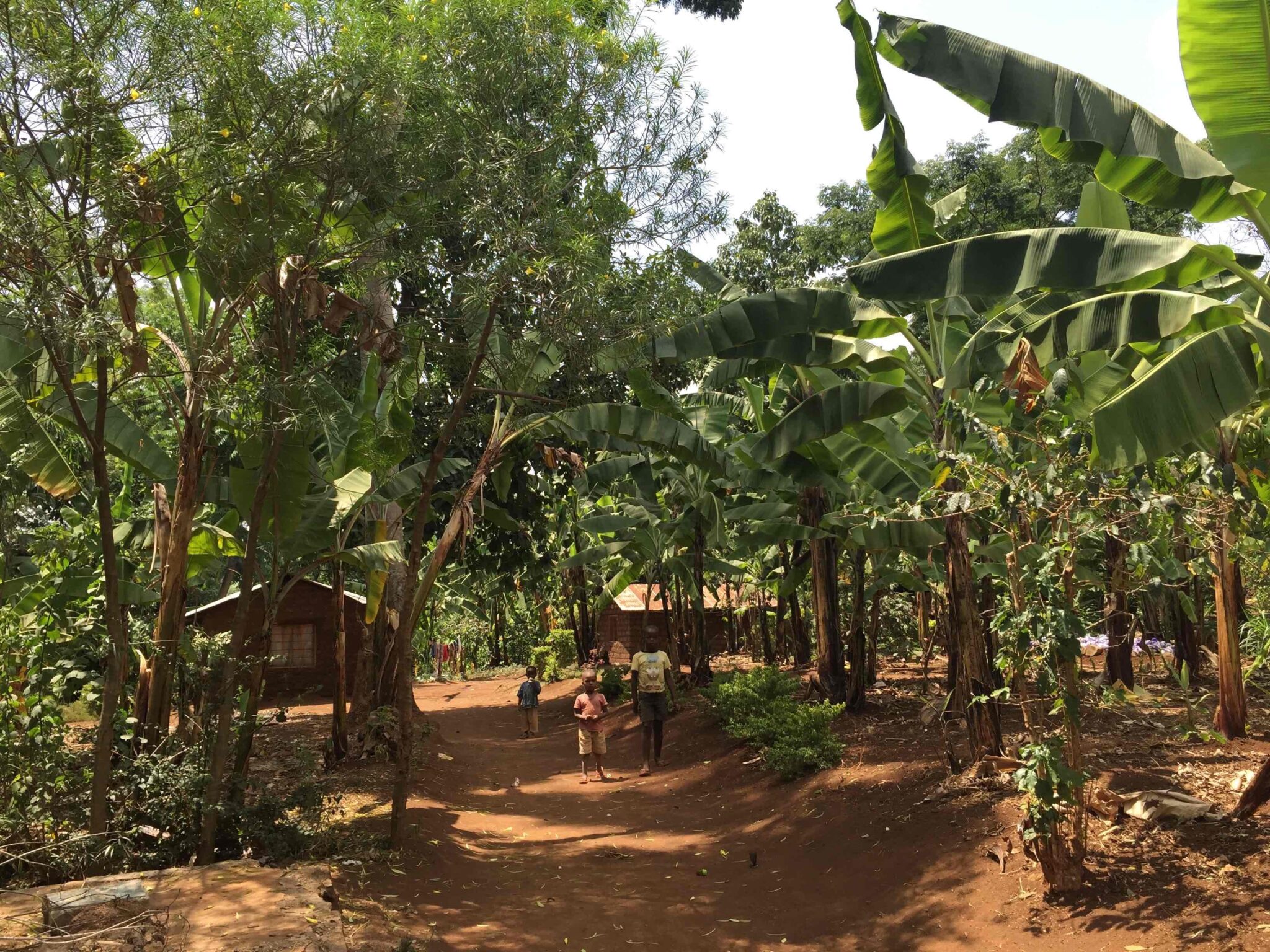 LCMS International Mission